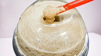 FBD 773 Frozen Beverage Machine - Triple Flavor, High Output